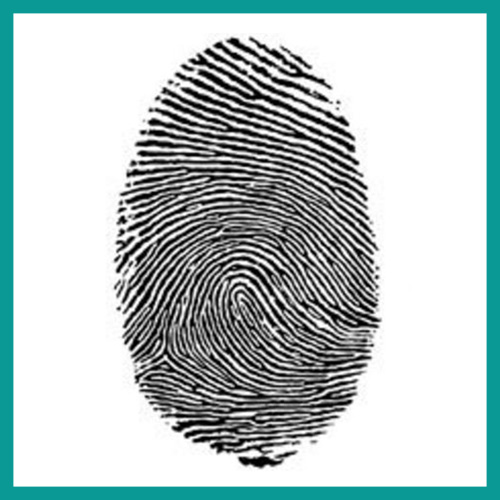 What Is A Fingerprint Let s Get To The Bottom Of It